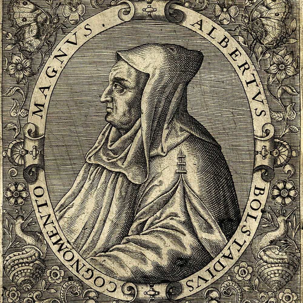 Stadt Regensburg - Kulturdatenbank - Albertus Magnus