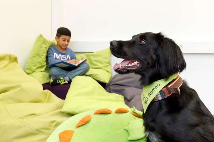 Stadt Regensburg - Lernwelten - Lesehunde