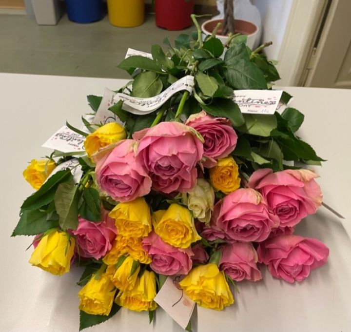 Stadt Regensburg - Archiv BFS Schulleben 2022/23 - Rosen am ...